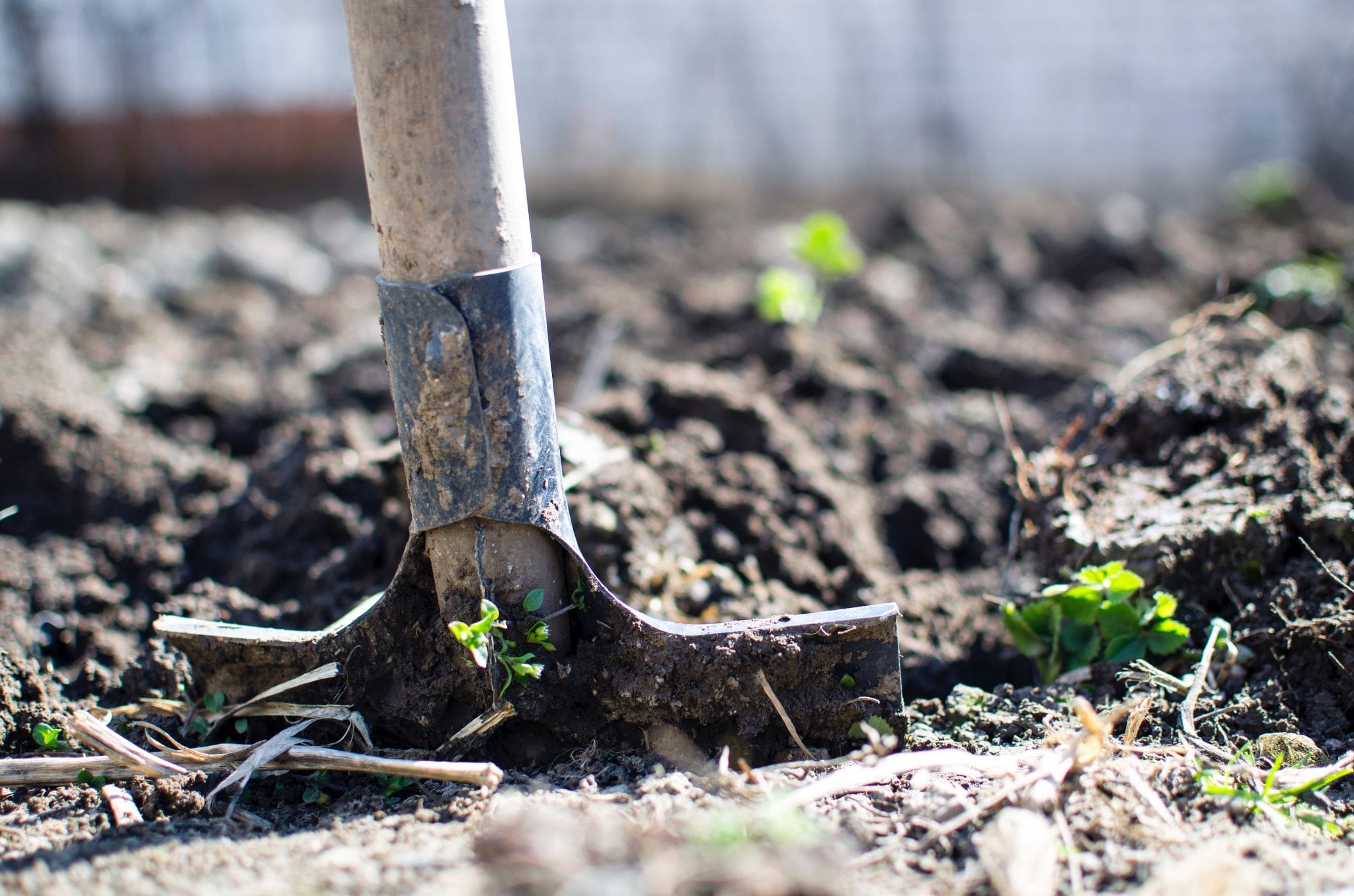 Landscaping Spring Cleaning Tips | Arbor Hills Landscaping Omaha